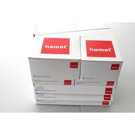 Minimalausstattung hamet drei - Testverfahren hamet